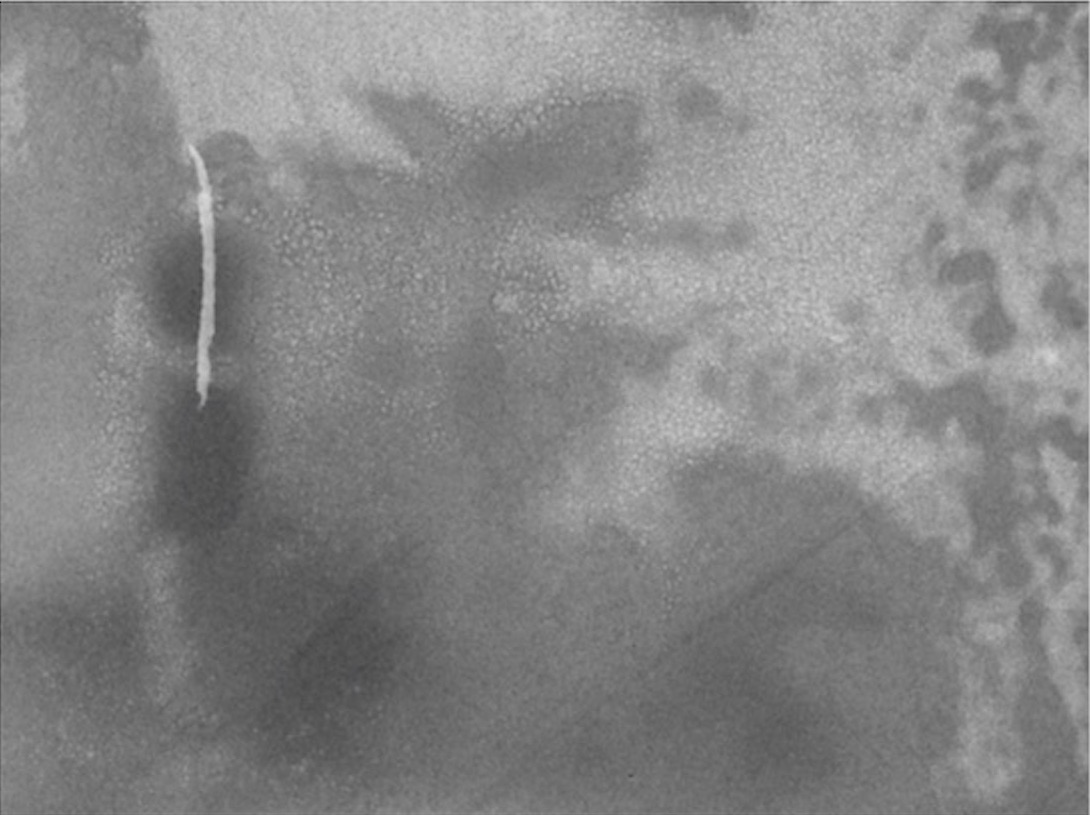 FEATURED ARTIST SERIES - Todd Fraser - ArtsNB